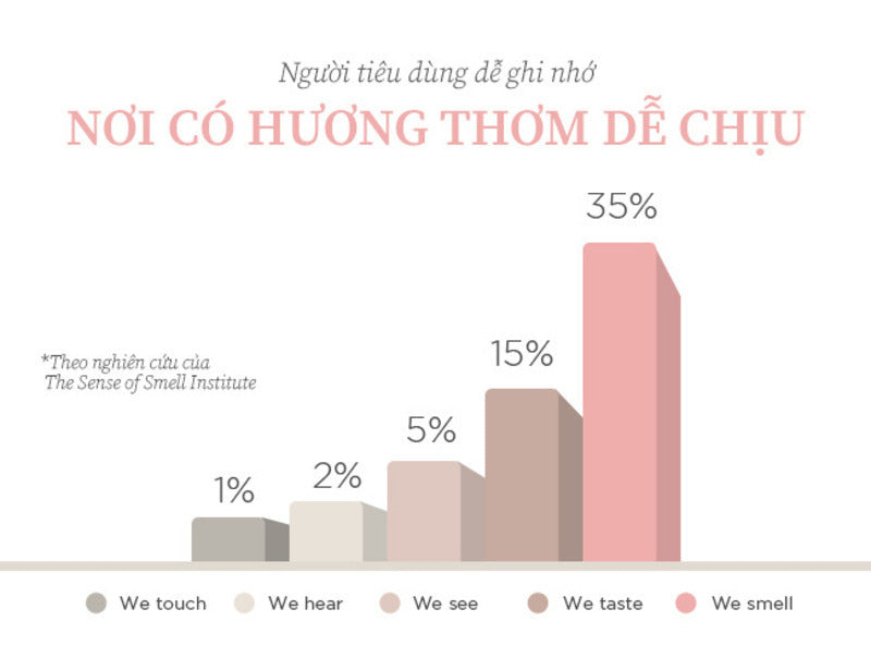 Top 6 tinh dầu khách sạn được ưa chuộng nhất hiện nay – KODO ...