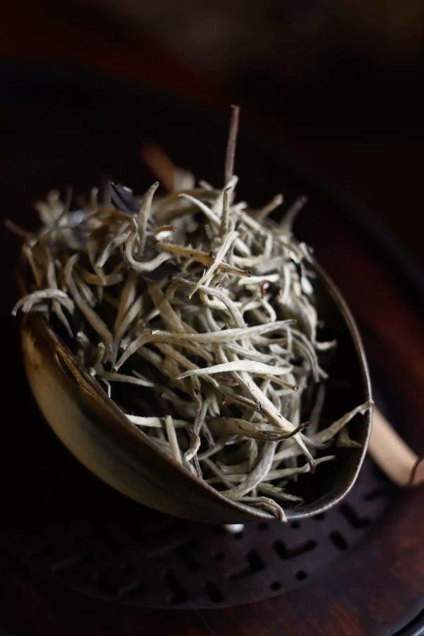 Mùi Hương Tự Nhiên Nào Giúp Share Tea Hút Khách? – KODO International ...